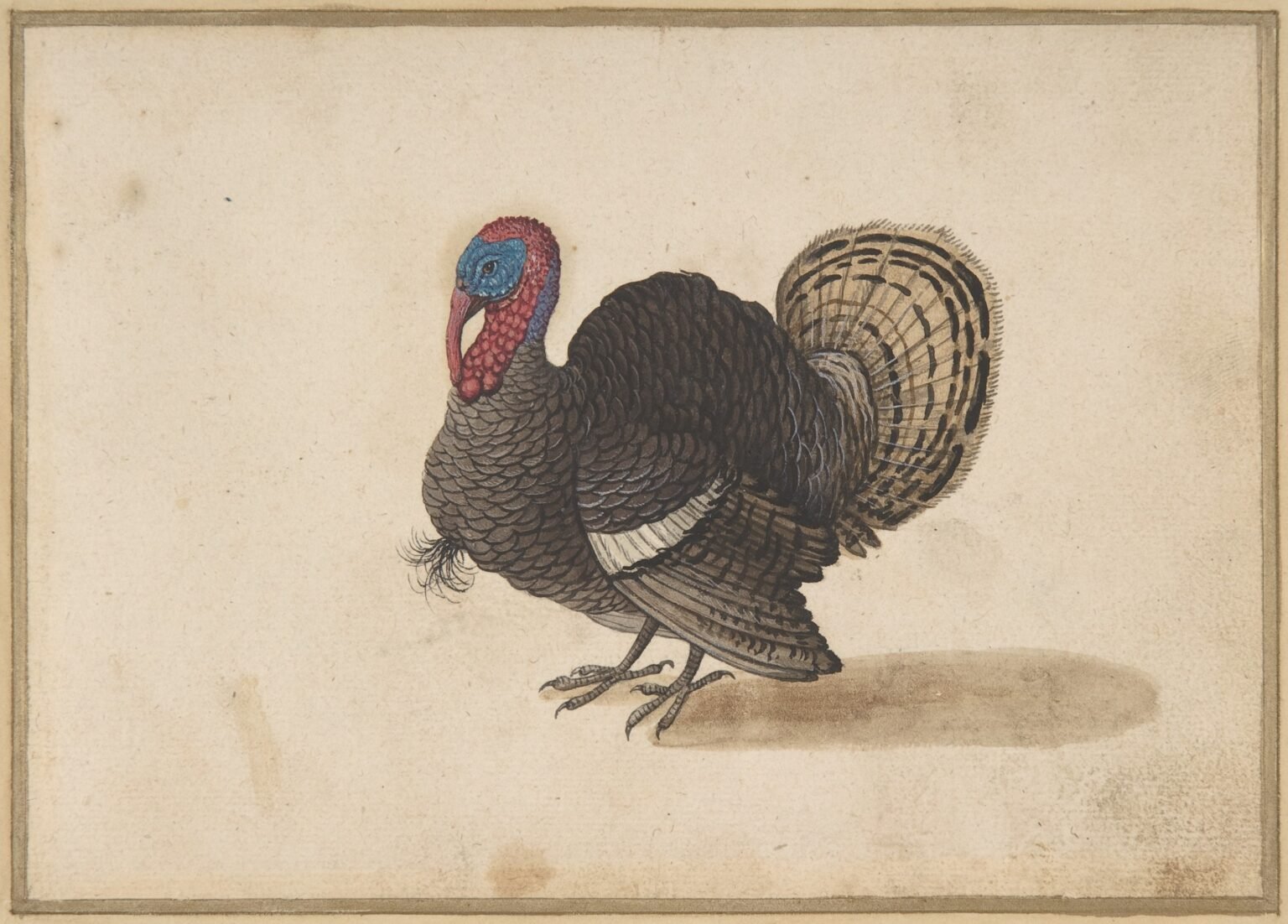 Free Printables: Vintage Turkey Art